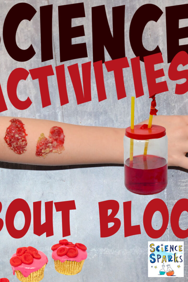 Human Body Science - Science Experiments for Kids