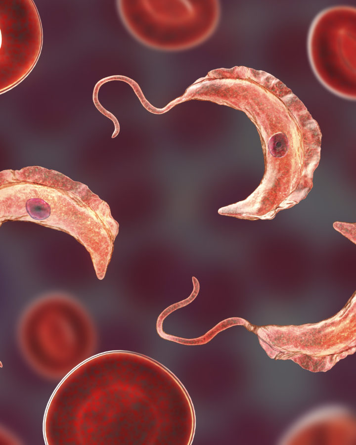 Microbiology for Kids - Science Experiments for Kids