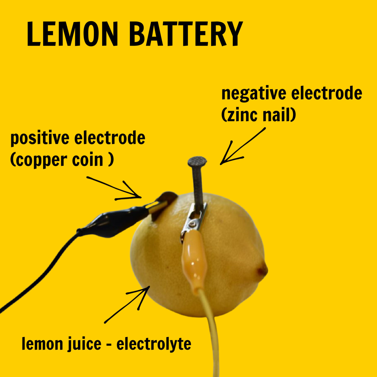 5 Science Experiments you can do with a lemon