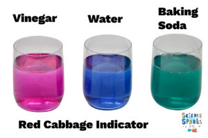 Using red cabbage indictor to test pH