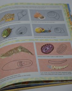 Under the Sea Activity Ideas