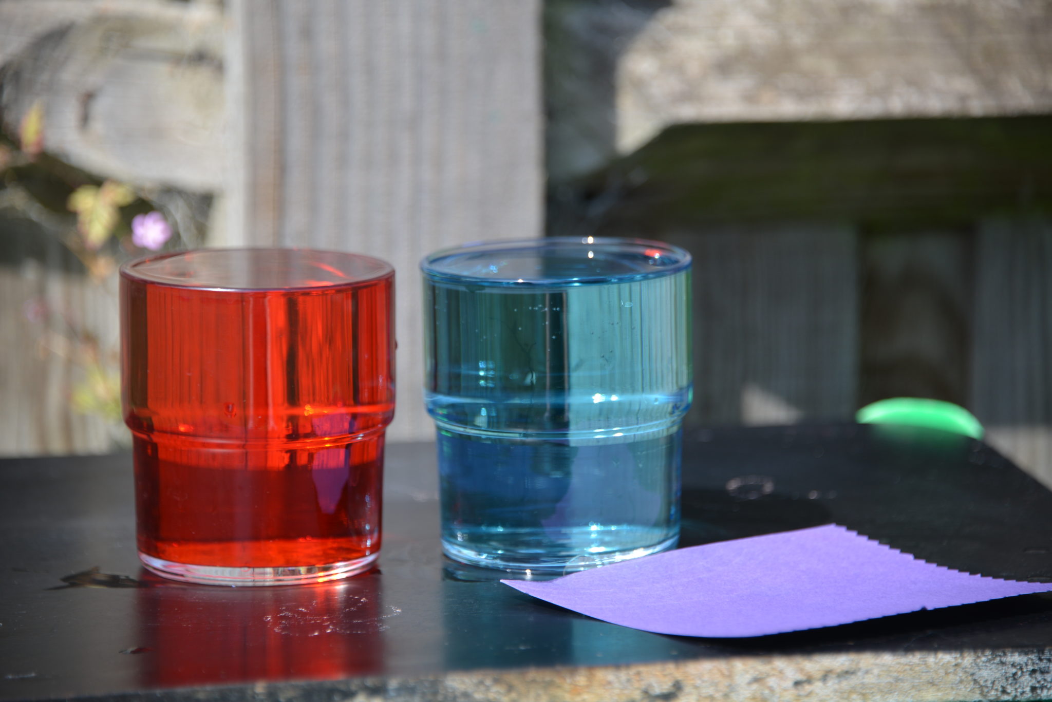 Hot and Cold Water Density Experiment