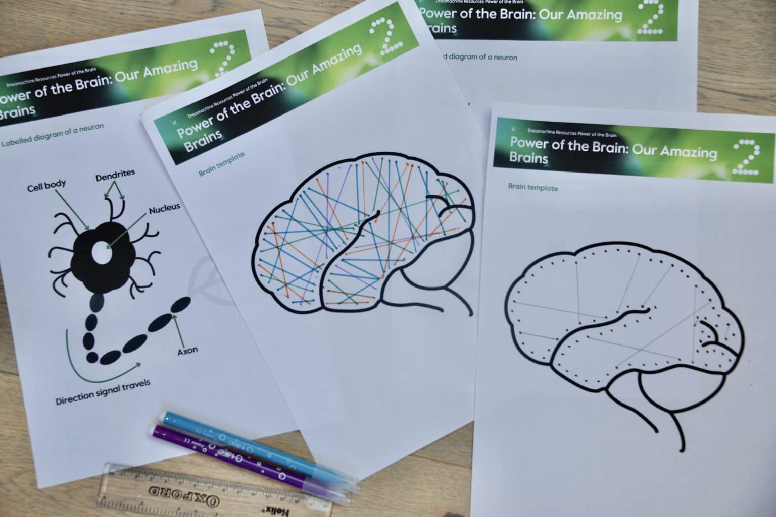 Science with the Dreamachine - Amazing Brains