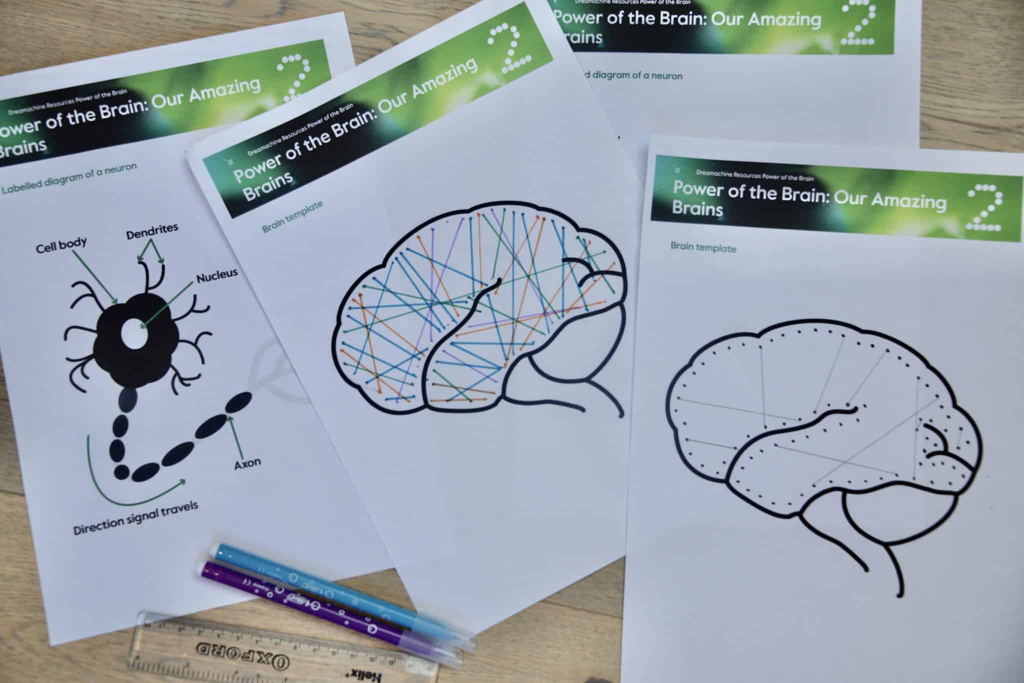 Science with the Dreamachine - Amazing Brains