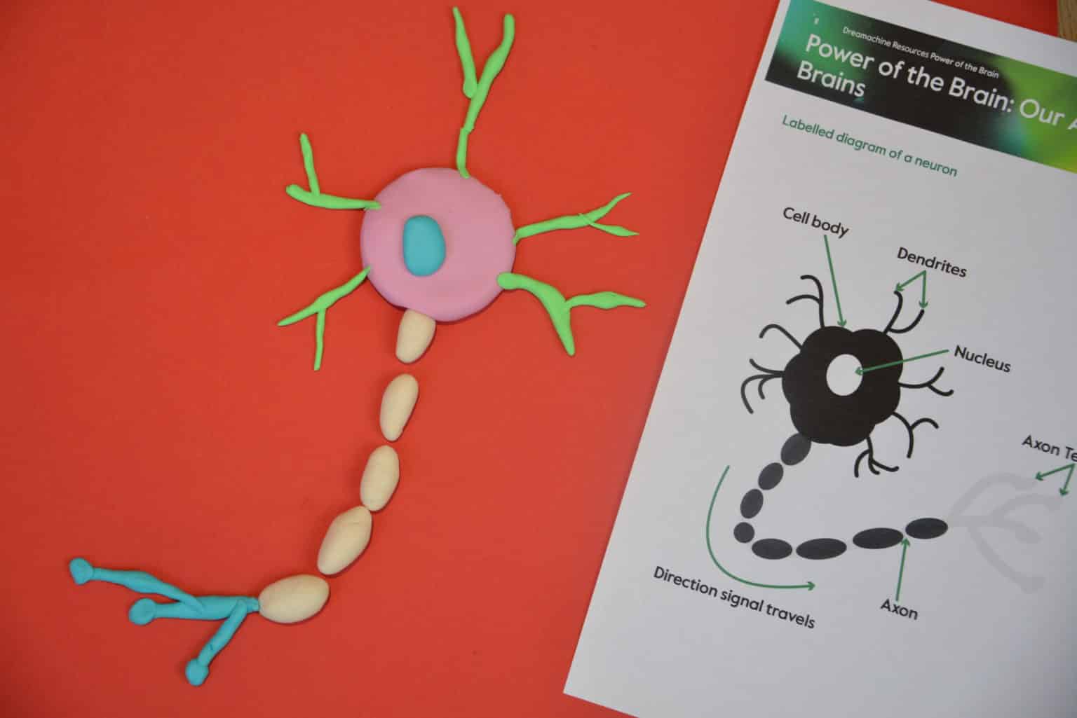 Science with the Dreamachine - Amazing Brains