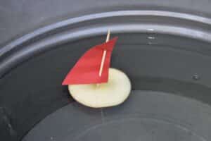 Apple Science Experiments and STEM Challenges