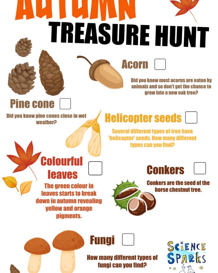 Autumn Science Experiments - Science Experiments for Kids