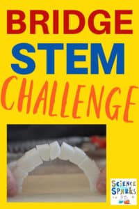 The Pont du Gard and a bridge building STEM challenge