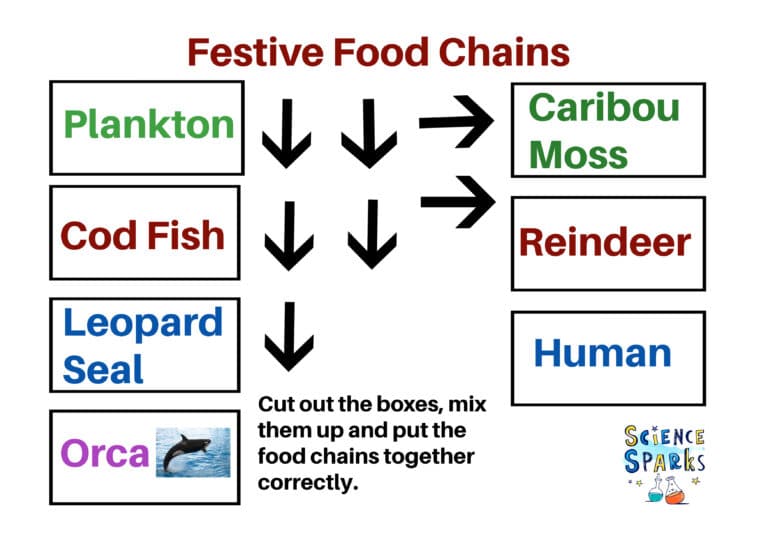 Reindeer Food Chain - Christmas Science for Kids