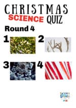 FREE Christmas Science Quiz