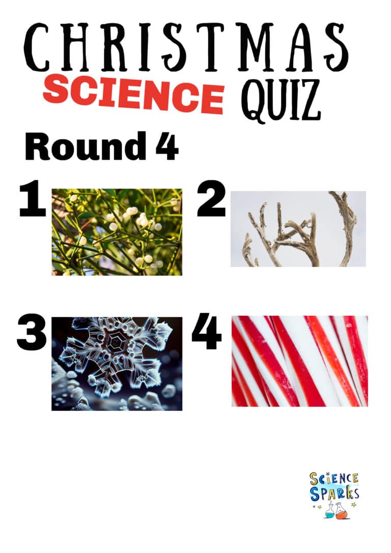 FREE Christmas Science Quiz