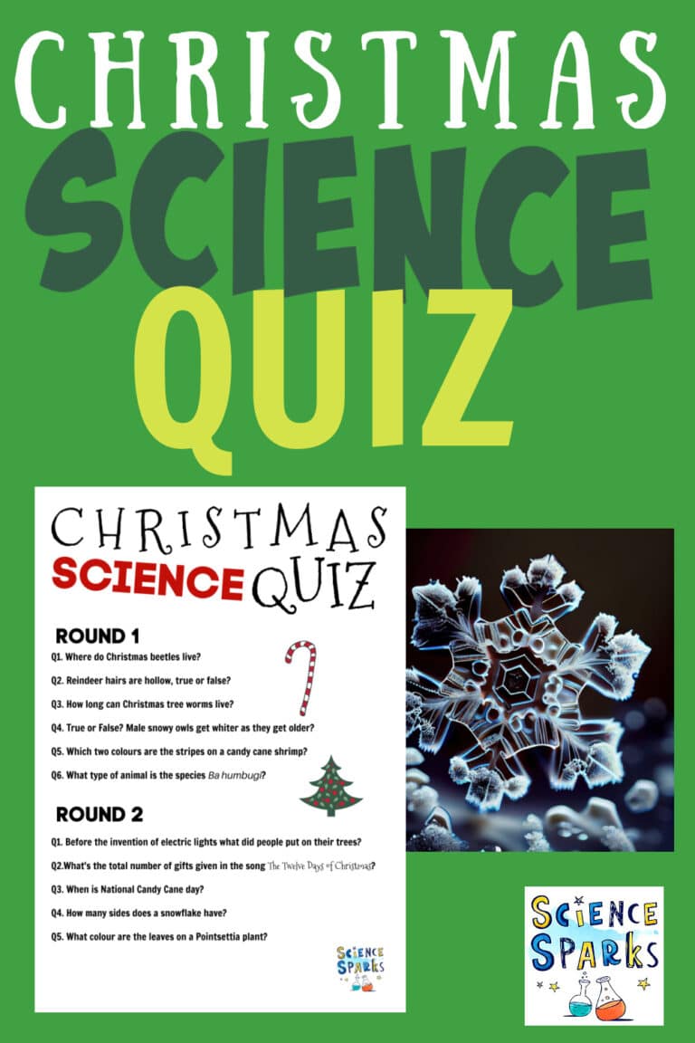 FREE Christmas Science Quiz