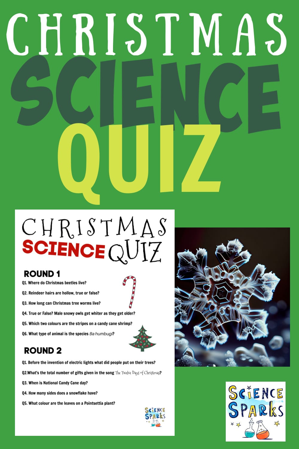 FREE Christmas Science Quiz