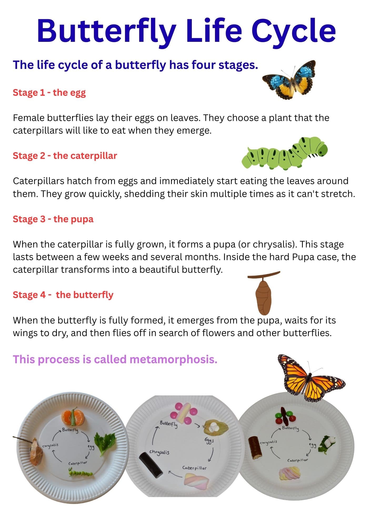 Easy Science Experiments for World Book Day