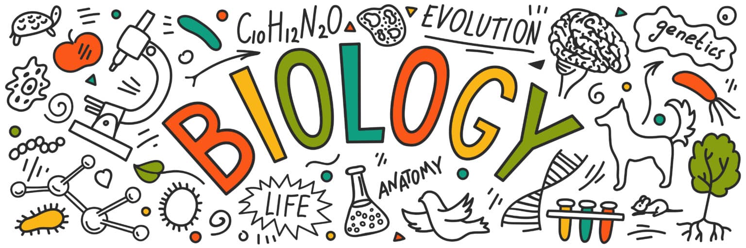 Easy Biology Experiments for Kids