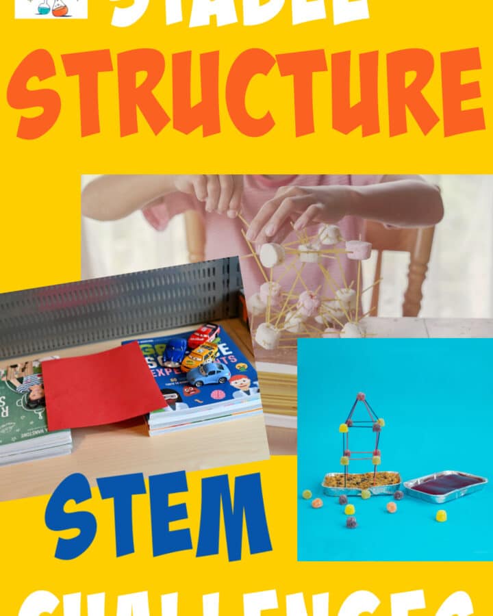 Bumper Car STEM Challenge