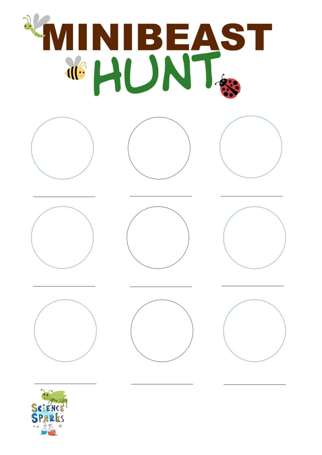 Minibeast Hunt Top Tips