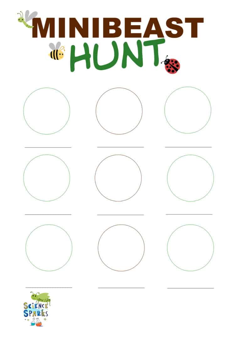 Minibeast Hunt Top Tips