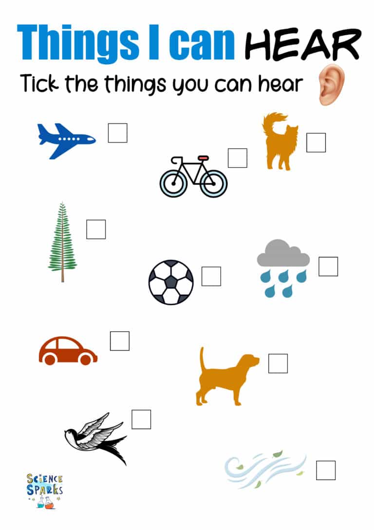 Things I Can Hear Worksheet