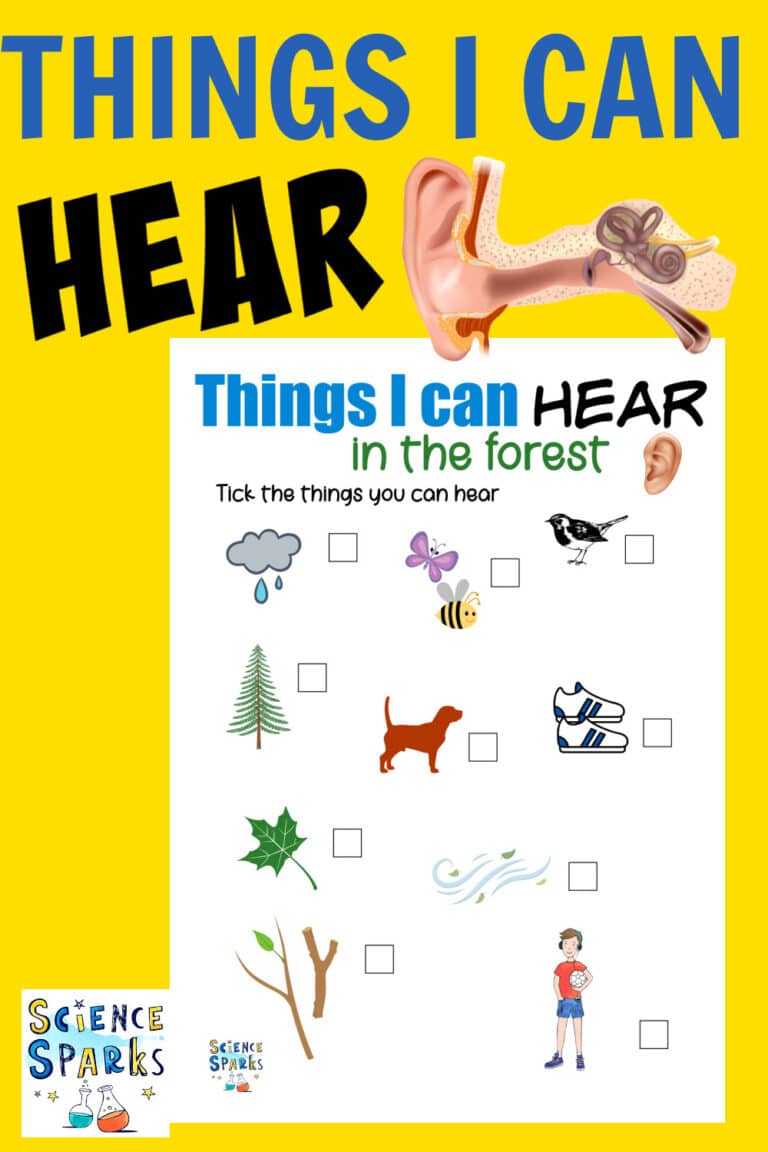 Things I Can Hear Worksheet