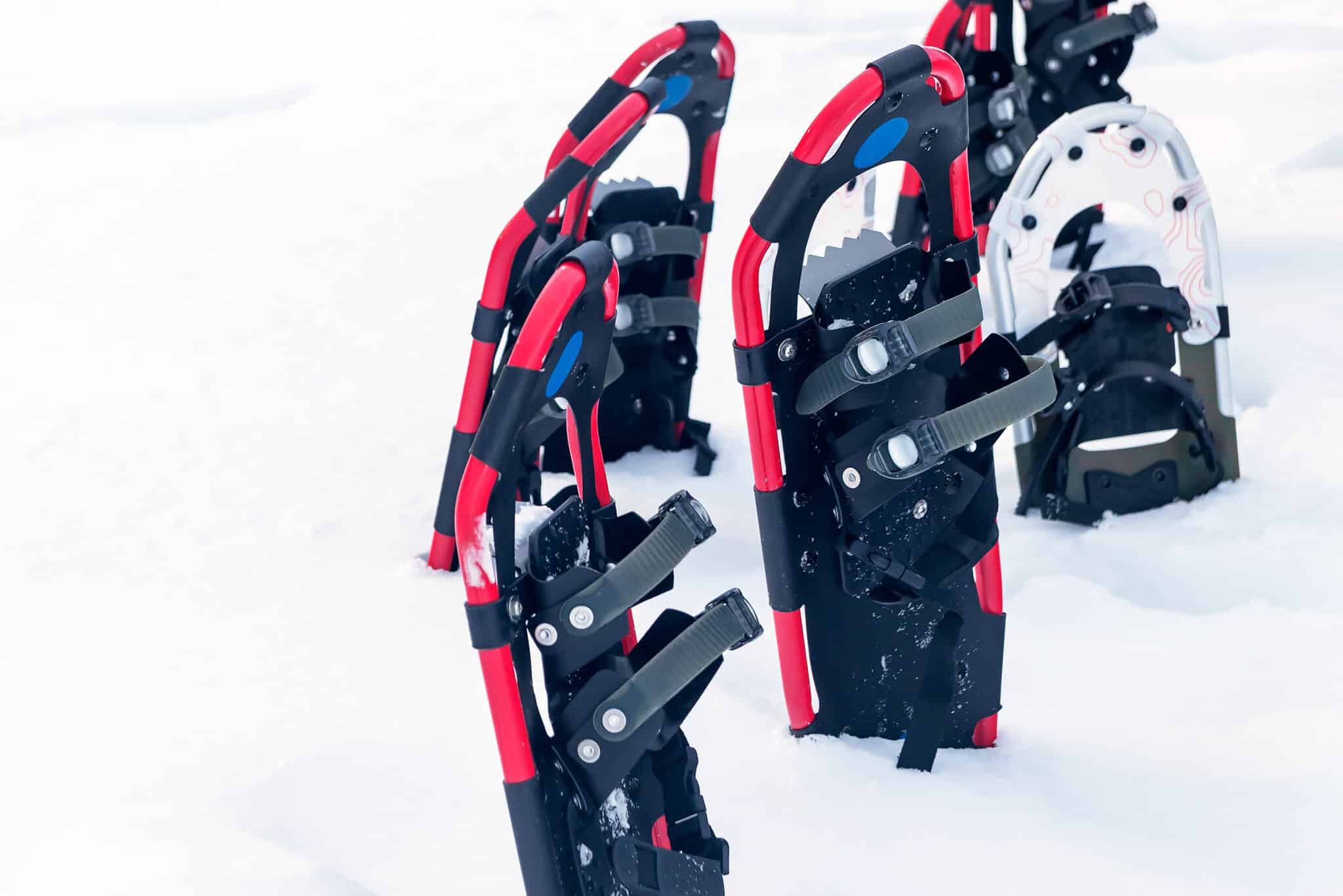 Build a Snowshoe for Santa - STEM Challenge