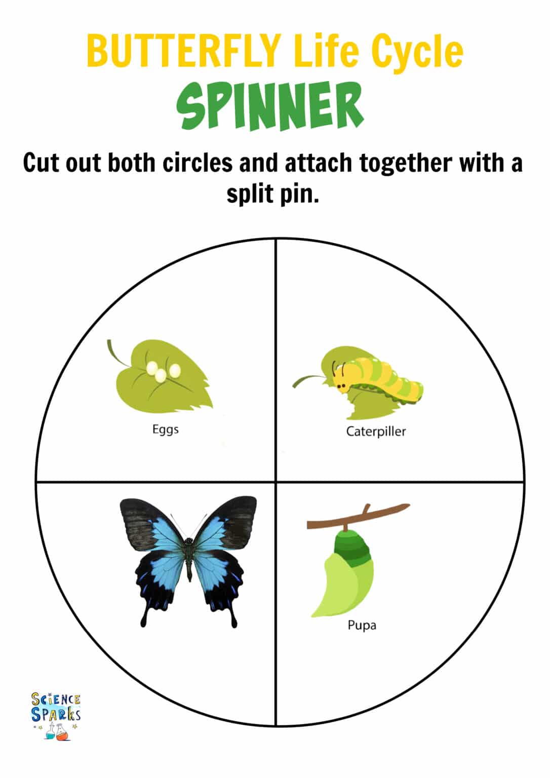 20 Fun Spring Science Experiments for Kids - Science Sparks