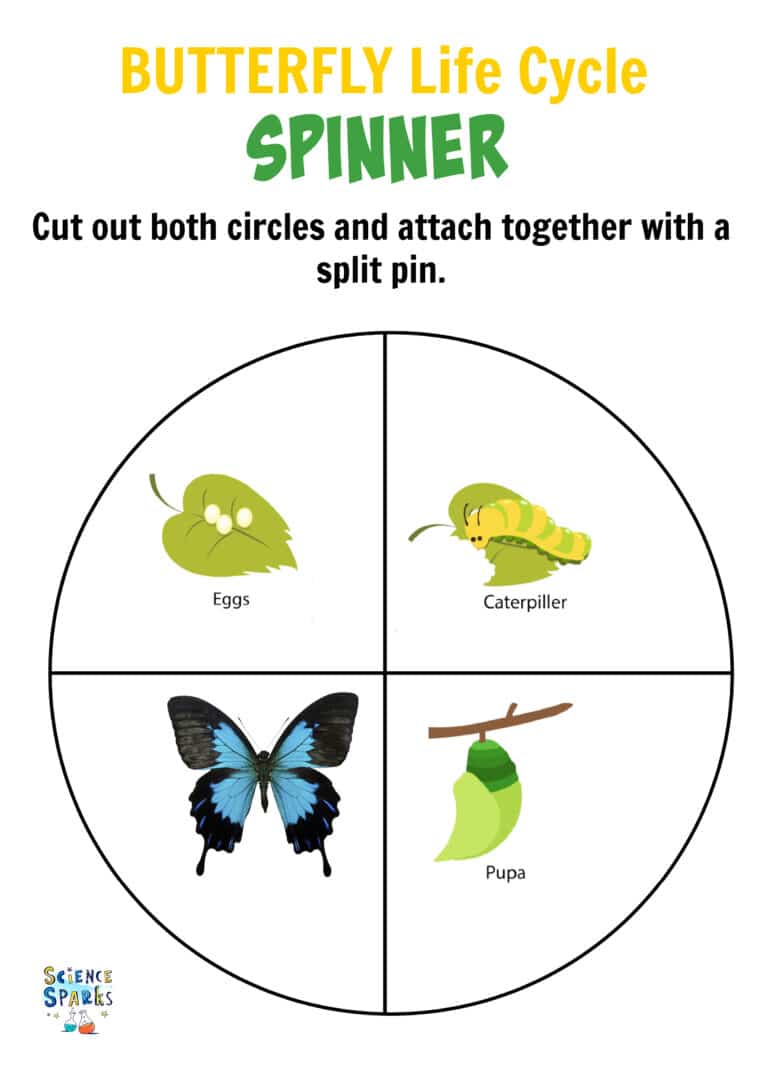 20 Fun Spring Science Experiments for Kids - Science Sparks