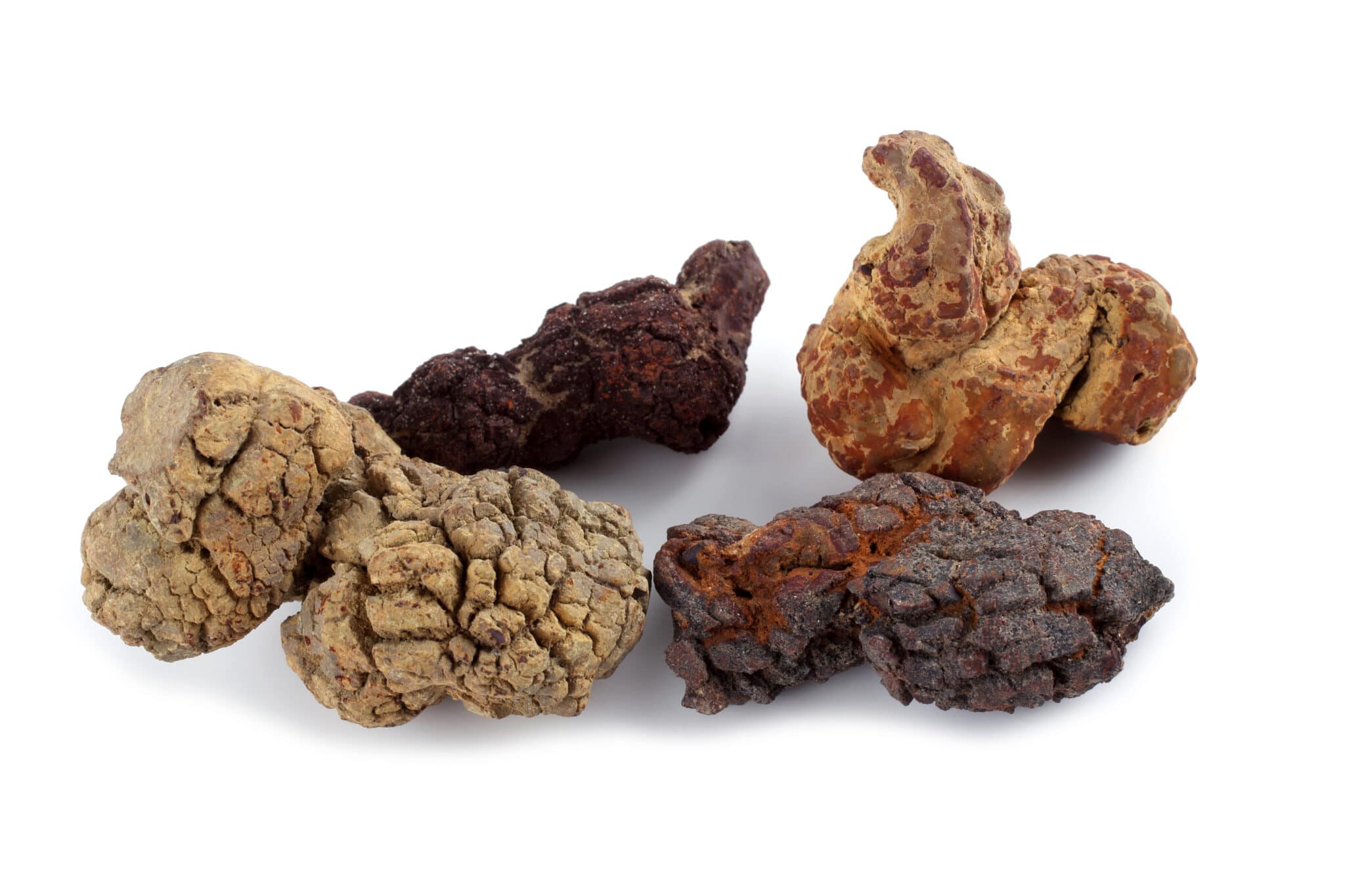 Wonderful Women in STEM - Mary Anning