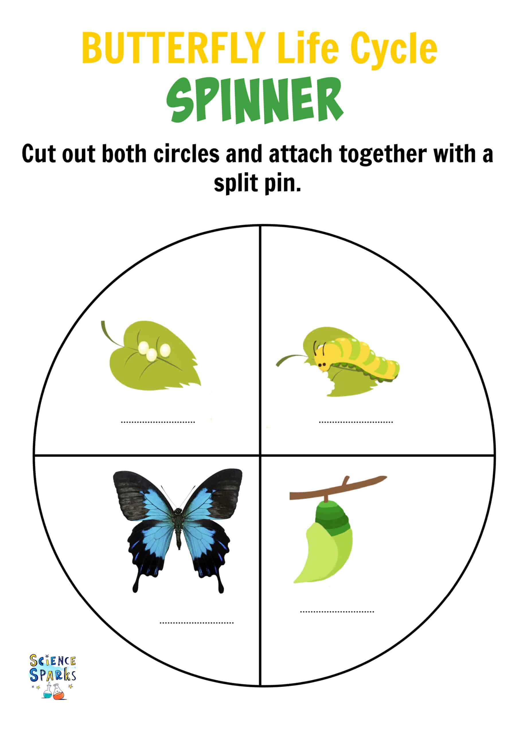Minibeasts - Minibeast life cycles - Science Sparks