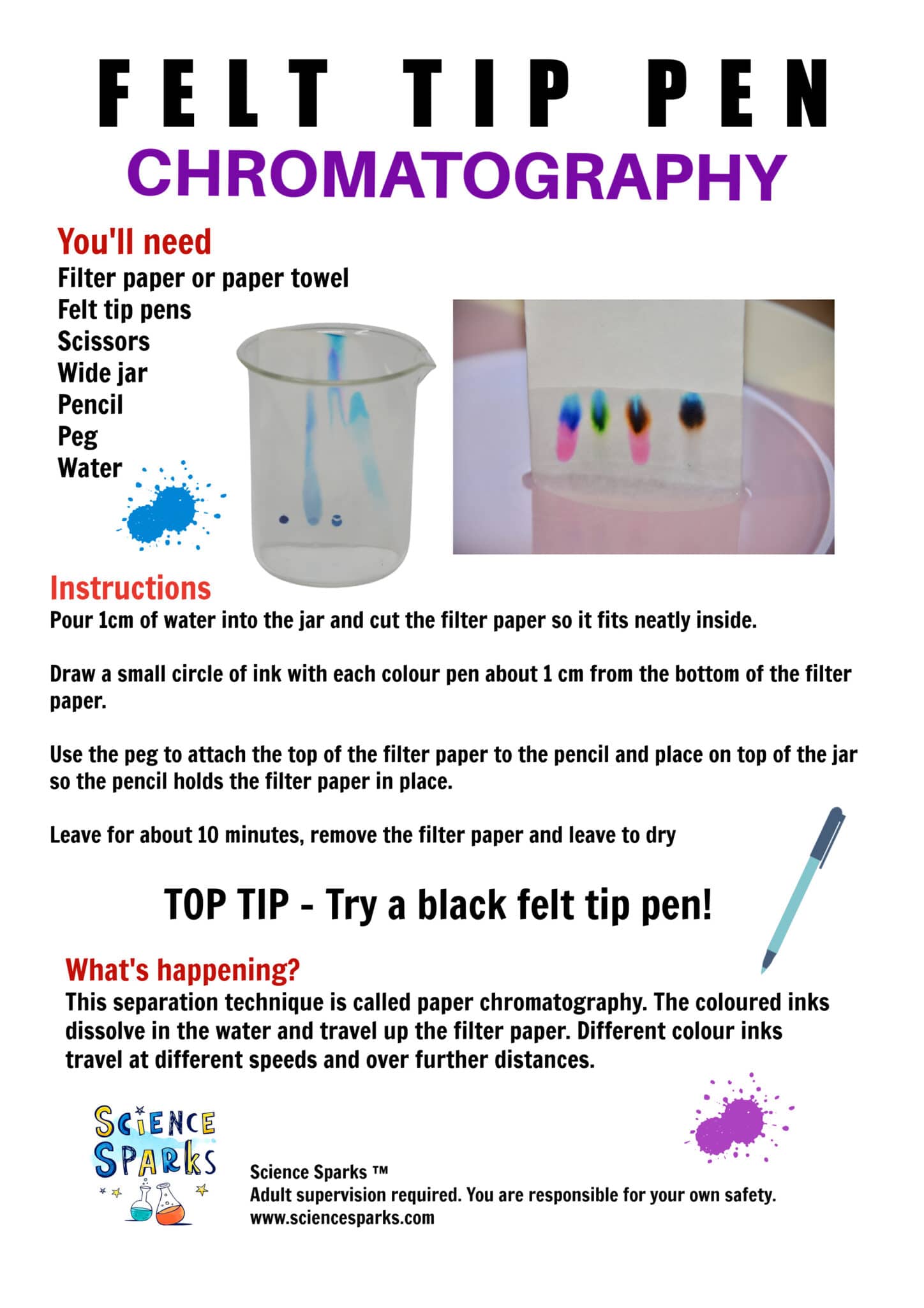 Paper Chromatography Experiment