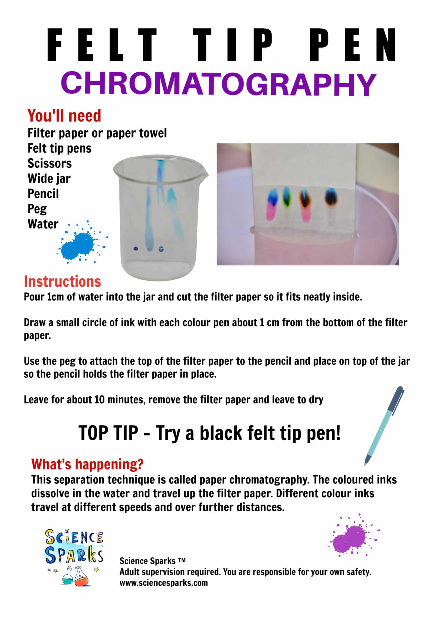 Paper Chromatography Experiment