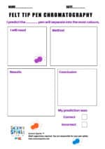 Paper Chromatography Experiment