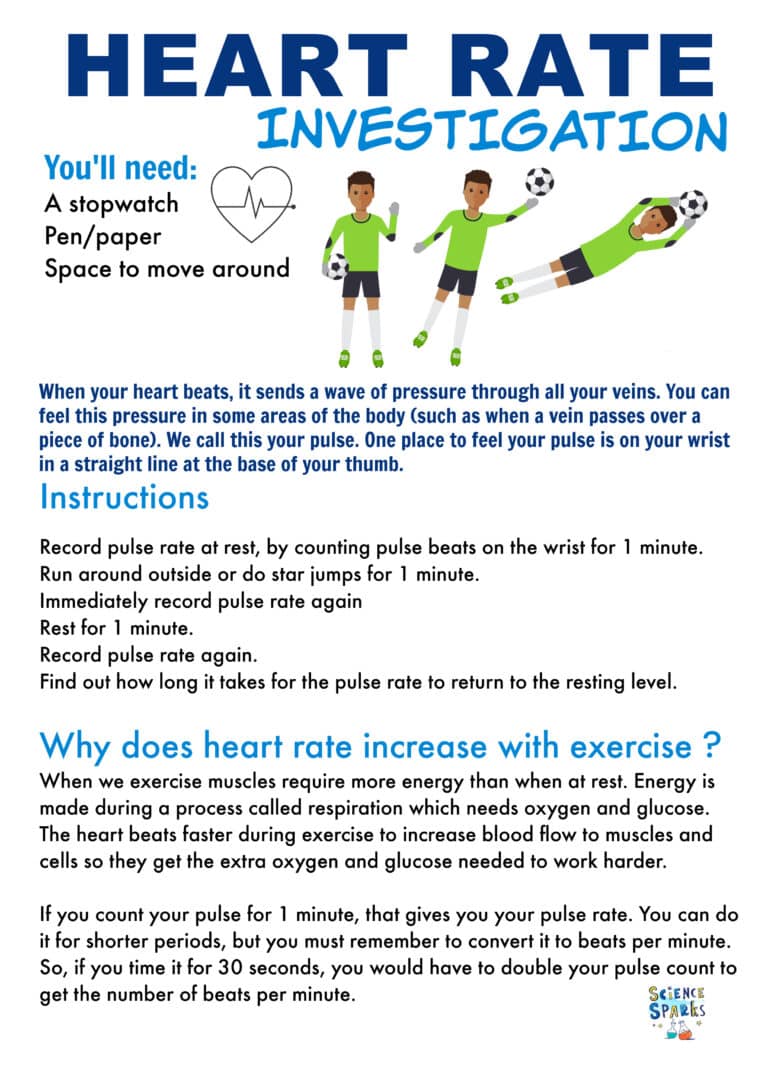 10 Hands-On Football Stem Activities for Kids