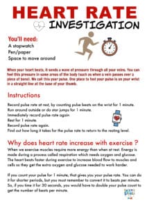 Heart Rate Investigation for Kids