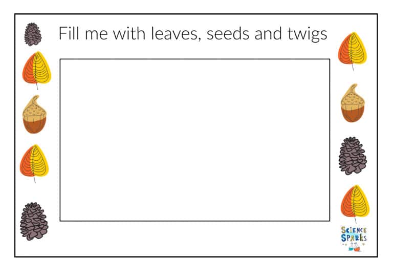 FREE Autumn Science Teaching Resources
