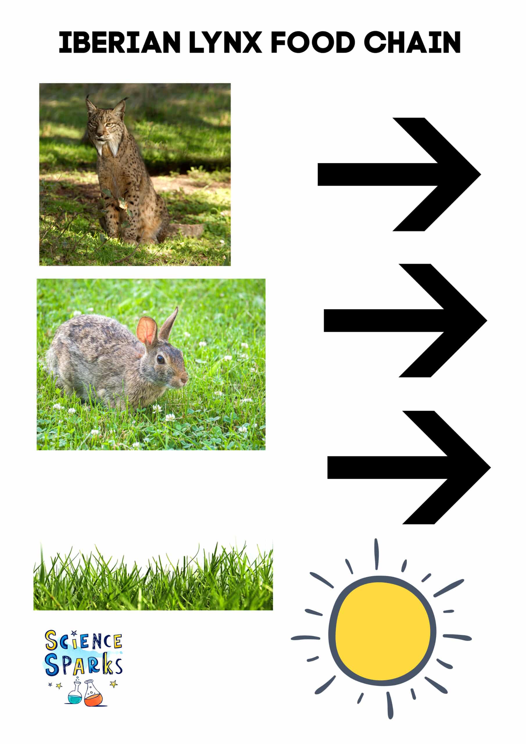 Around the World in 50 Experiments - Portugal