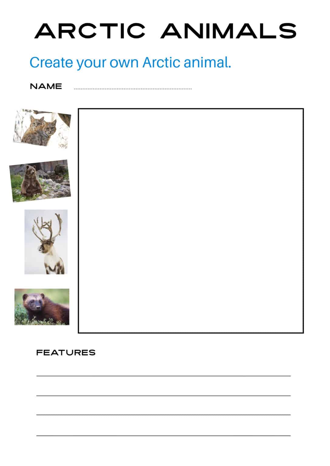 Lapland - Arctic Animal Adaptations