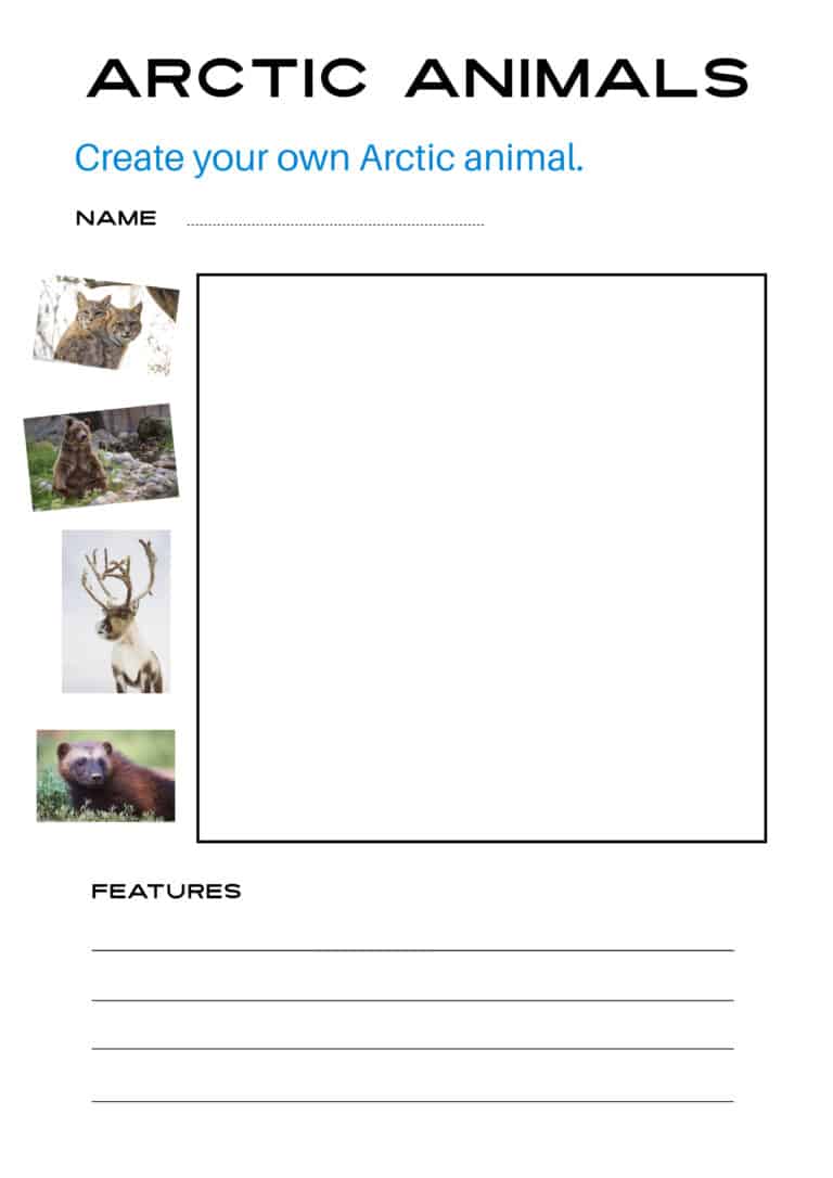 Lapland - Arctic Animal Adaptations