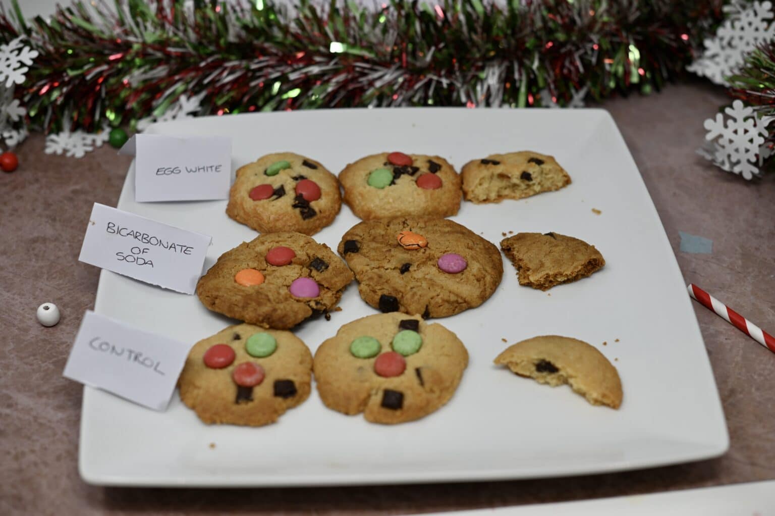 The Great Christmas Cookie Experiment