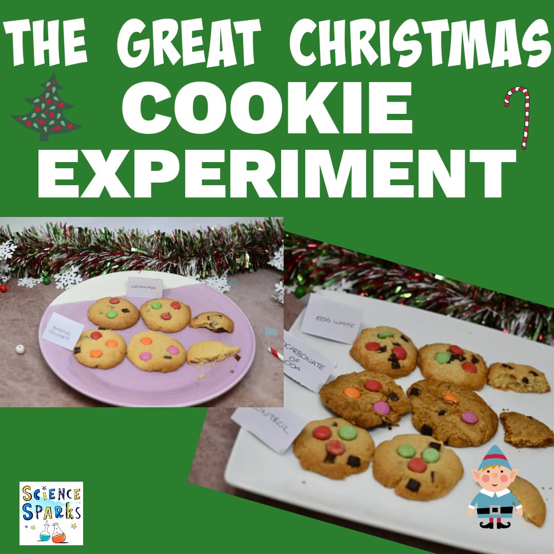 The Great Christmas Cookie Experiment