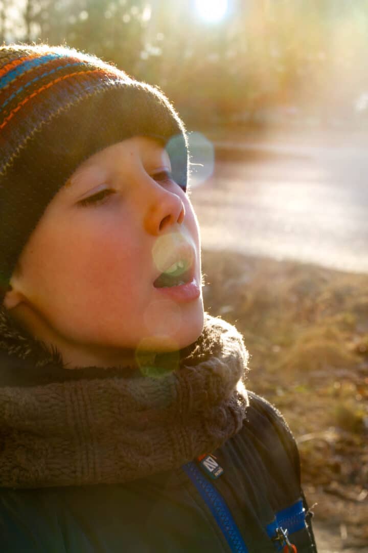 Why Do Crisp Packets Puff Up at High Altitude? The Science Explained