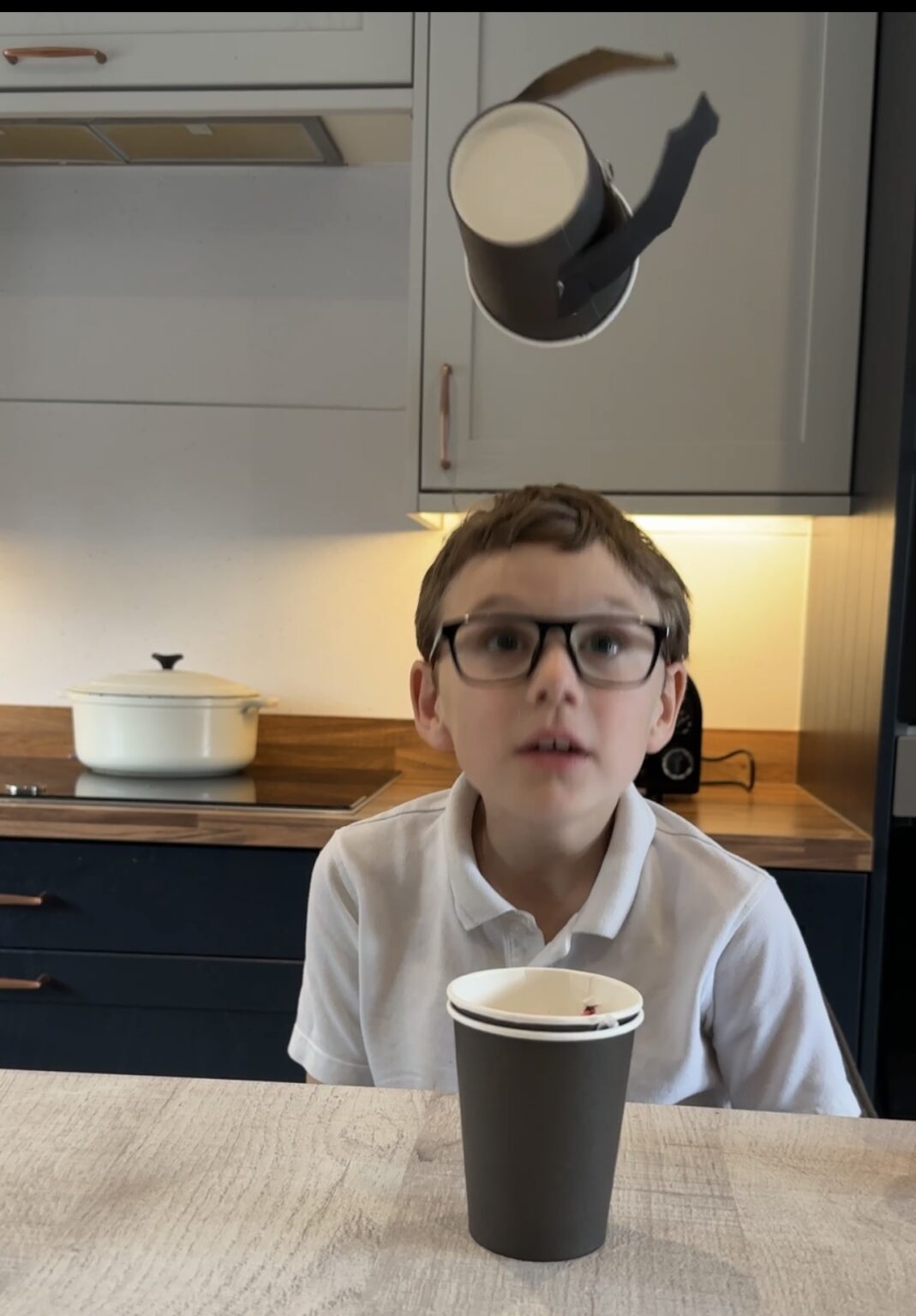 Flying Bat Cups STEM Challenge