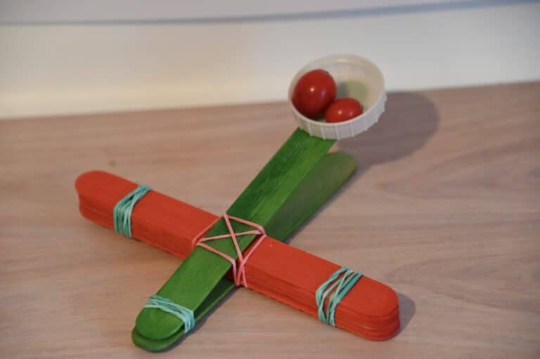 Cranberry Catapult STEM Challenge