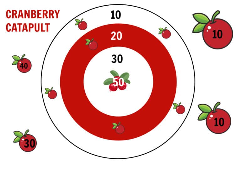 Cranberry Catapult STEM Challenge