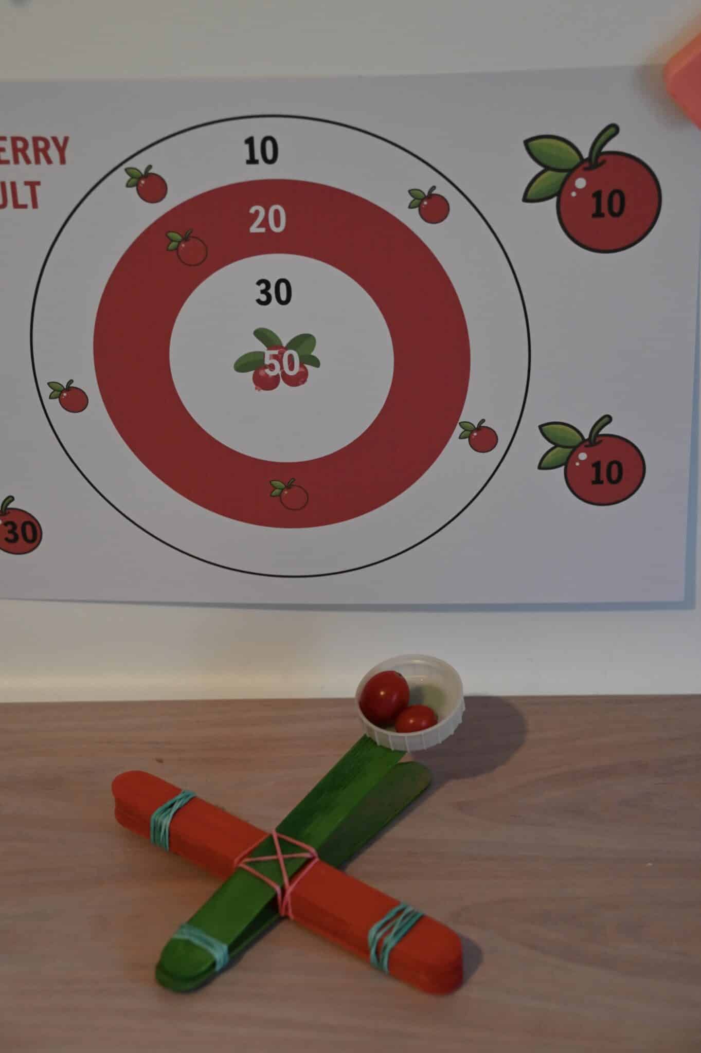 Cranberry Catapult STEM Challenge