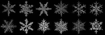 How Do Snowflakes Form?