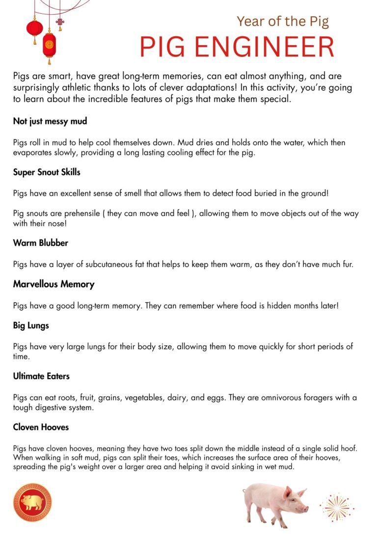 Science Activity Ideas for Chinese New Year