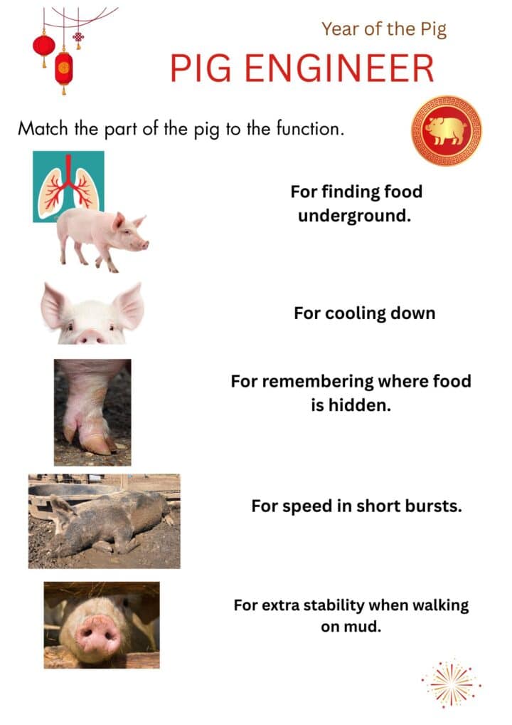 Science Activity Ideas for Chinese New Year