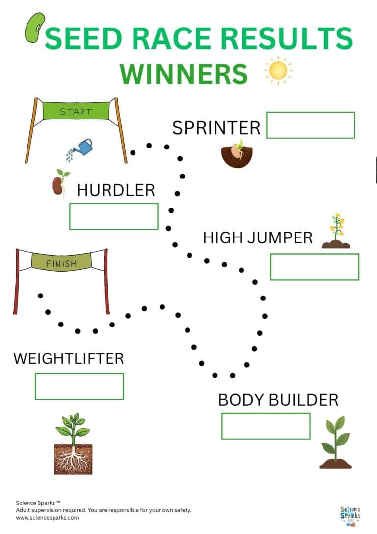 The Great Spring Seed Race