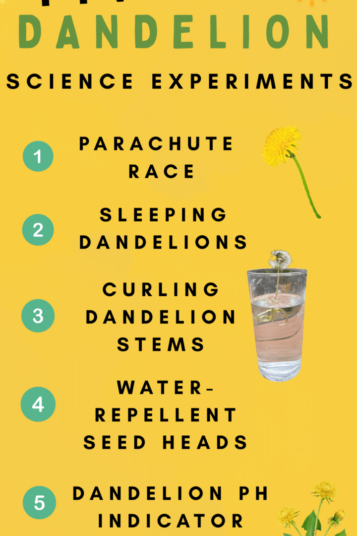 Easy Science Experiments for Kids at Home or in the Classroom